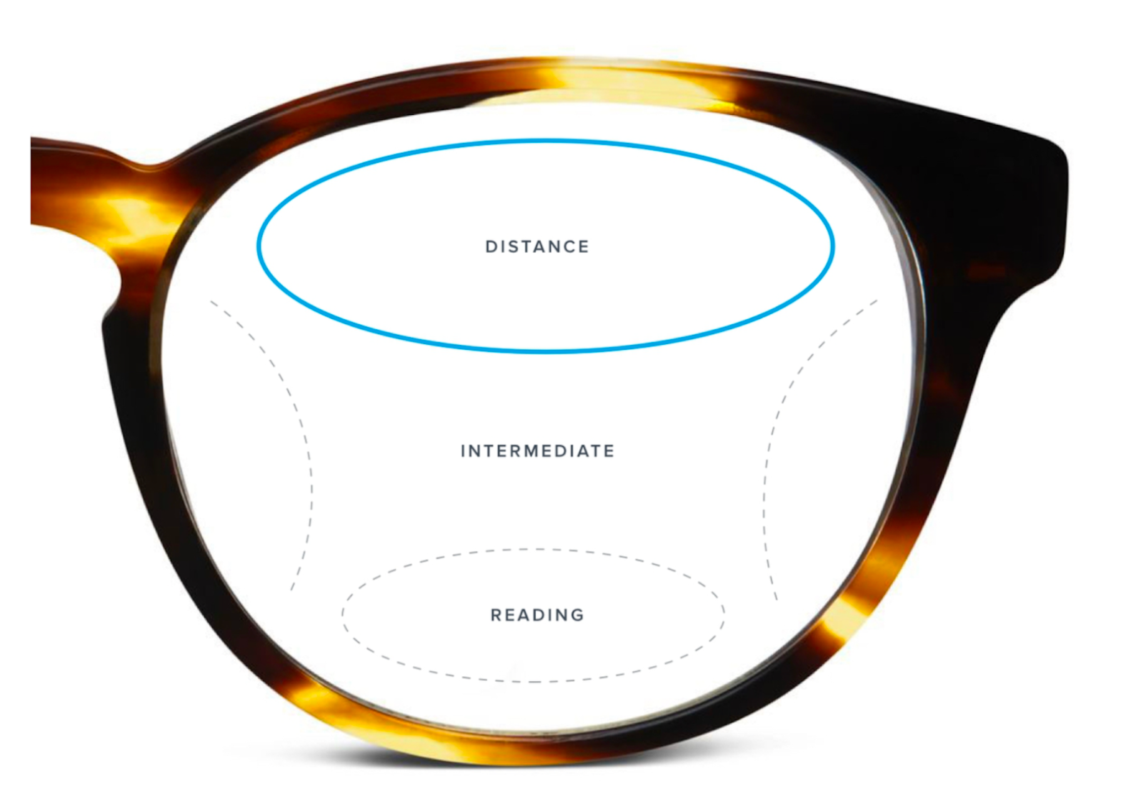 How to Adjust to Progressive Lenses – XP Health